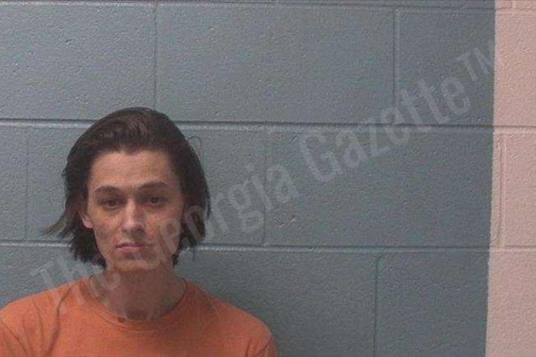 Franklin County Jail Bookings – Page 7 – The Georgia Gazette