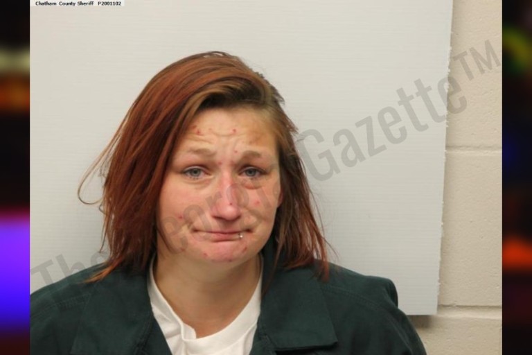 Erica Smith — Chatham County Jail Bookings