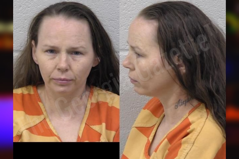 Ashley Smull — Paulding County Jail Bookings