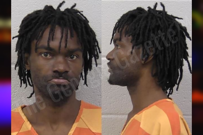 Brandon Snow — Paulding County Jail Bookings