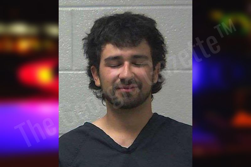 Andrew Spillane — Gilmer County Jail Bookings