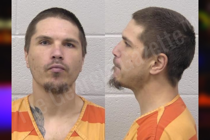 Joshua Stokes — Paulding County Jail Bookings
