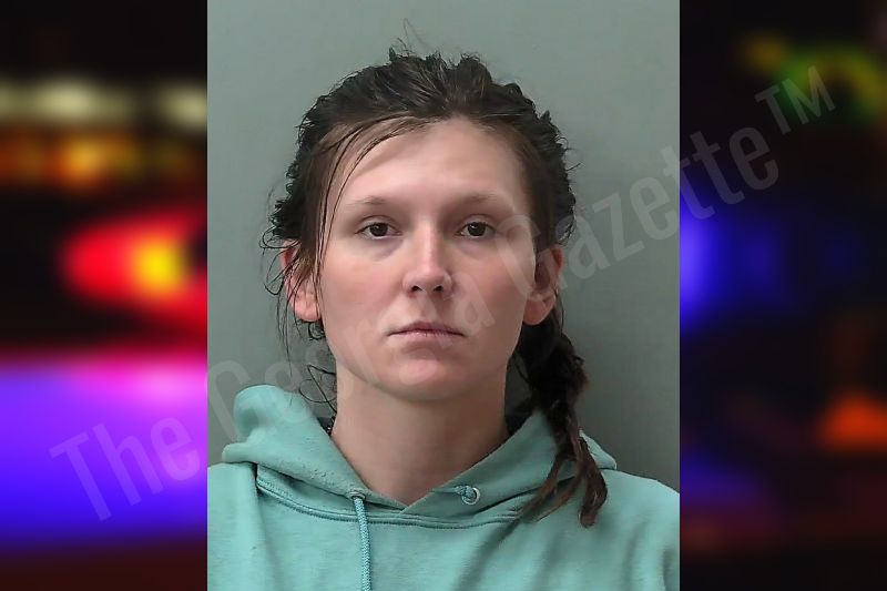 Jessica Strickland — Towns County Jail Bookings
