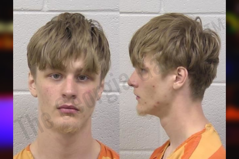 Matthew Sword — Paulding County Jail Bookings