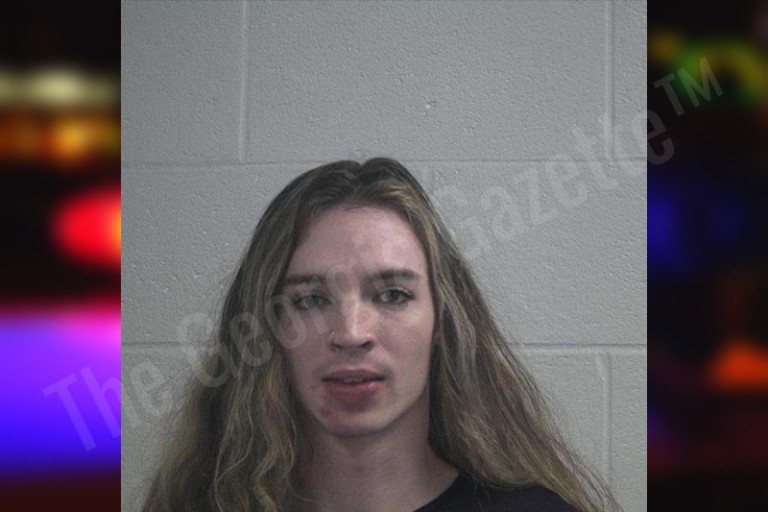 Christopher Treadwell — McDuffie County Jail Bookings