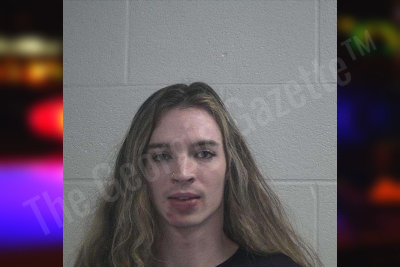 Christopher Treadwell — McDuffie County Jail Bookings