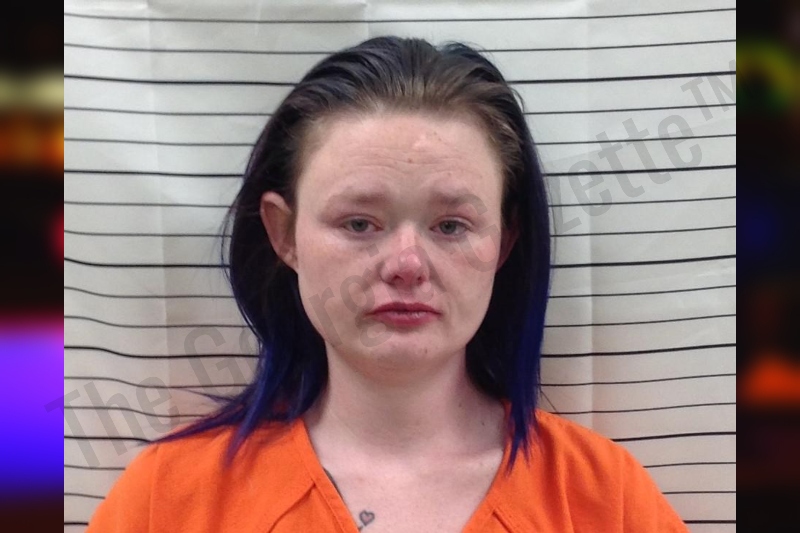 Jennifer Taylor — Pickens County Jail Bookings