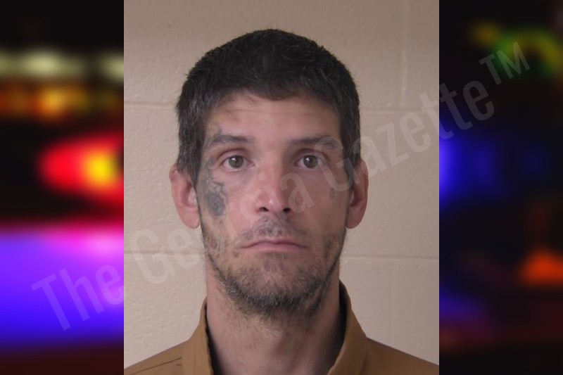 Justin Taylor — Walker County Jail Bookings