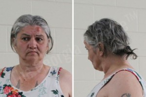 Kelly Tenney — Houston County Jail Bookings