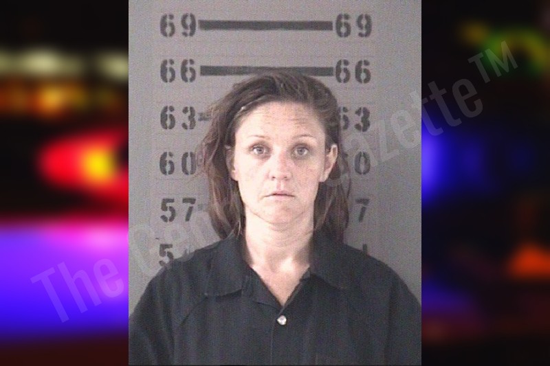 Arlene Terry — Dougherty County Jail Bookings