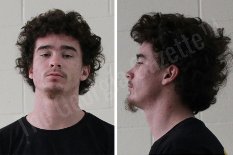 Brian Thompson — Houston County Jail Bookings