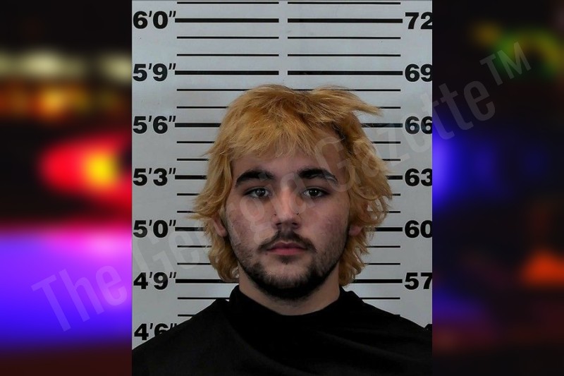 Dylan True — Hart County Jail Bookings