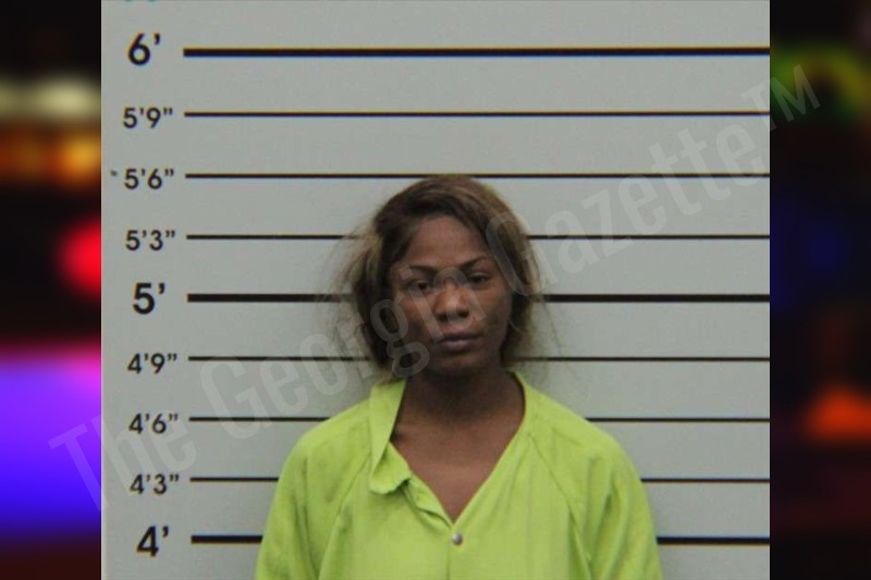 Isman Ulusoy — Turner County Jail Bookings