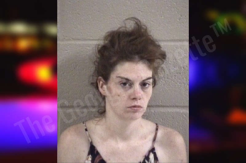 Abbygail Wells — Whitfield County Jail Bookings