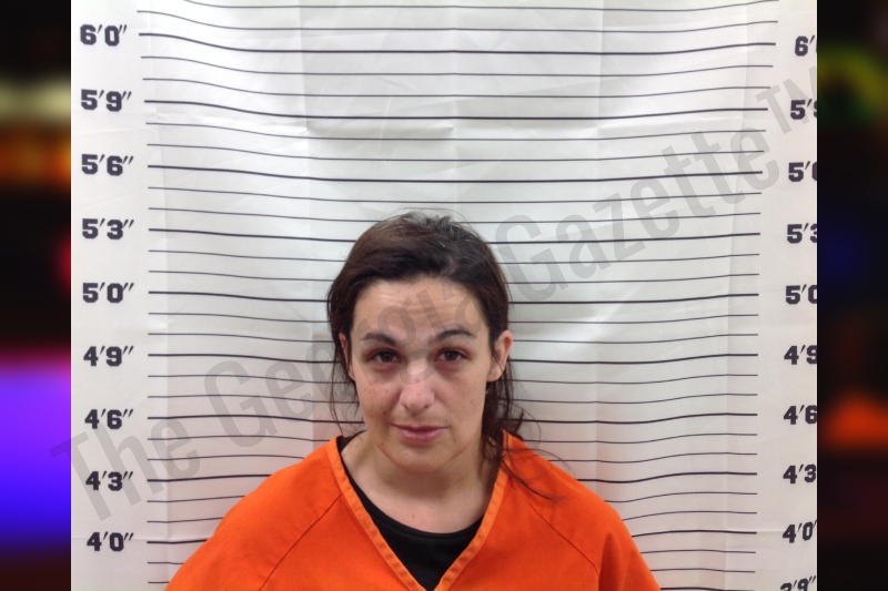 Kayla White — Pickens County Jail Bookings