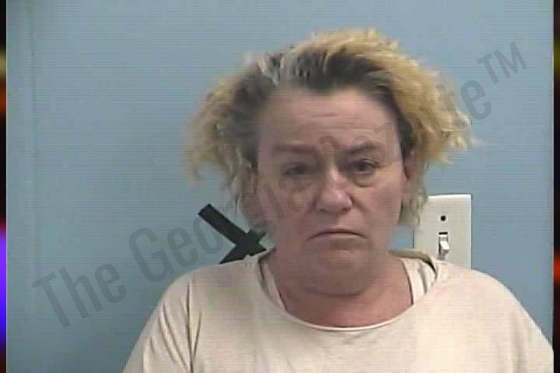 Sharon Wilson — Dawson County Jail Bookings