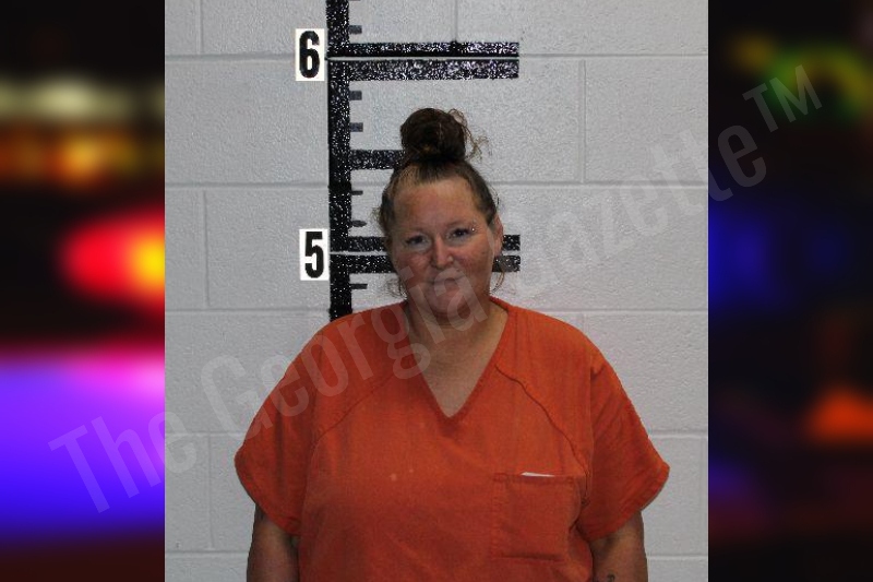Jennifer Wise — Murray County Jail Bookings
