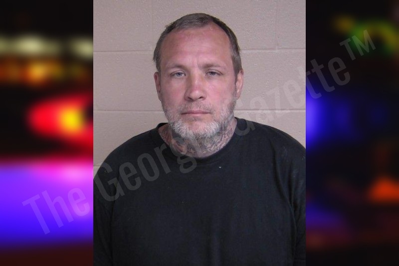 David Young — Walker County Jail Bookings