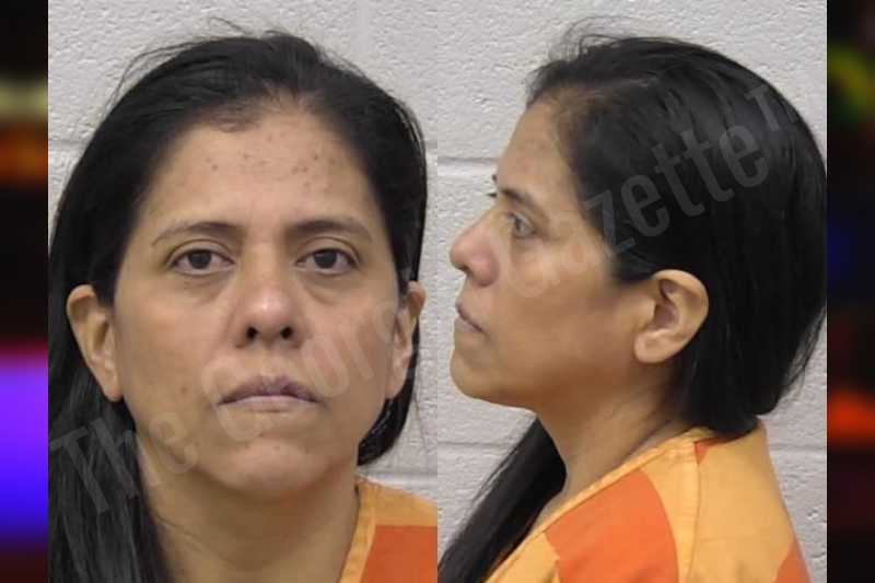 Yeny Zule — Paulding County Jail Bookings