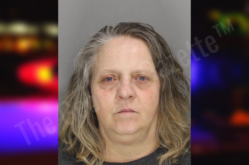 Lisa Adair — Cobb County Jail Bookings