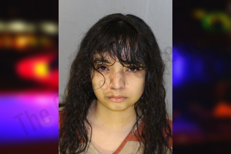 Brittany Arroyo — Hall County Jail Bookings