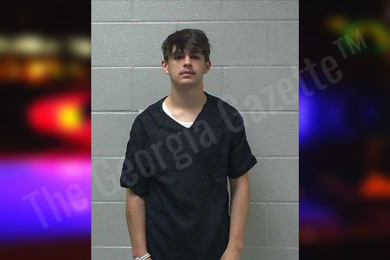 Keith Adams — Gilmer County Jail Bookings