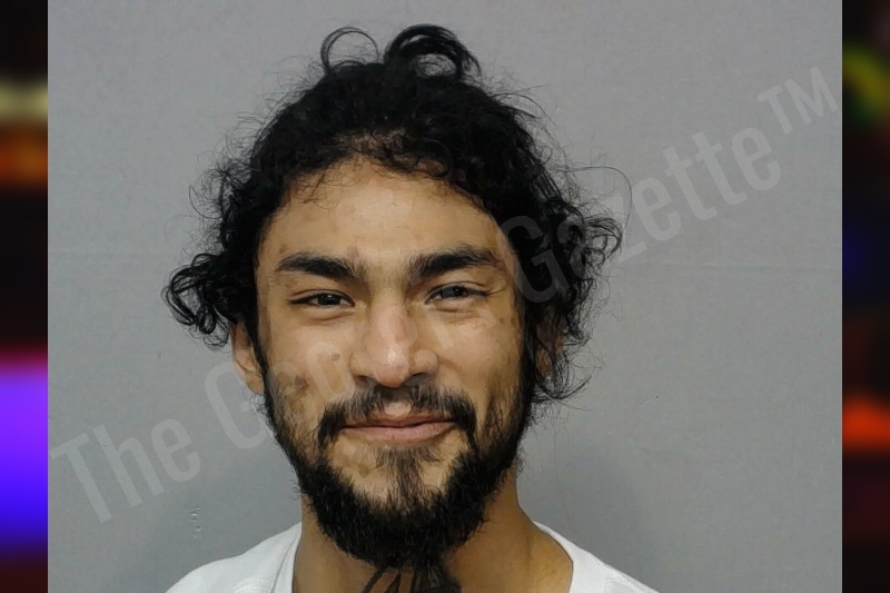 Alexis Sanchez — Bibb County Jail Bookings