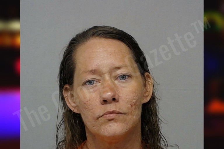 Amanda Garmon — Bibb County Jail Bookings