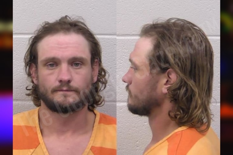 David Anglin — Paulding County Jail Bookings
