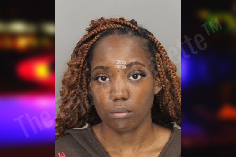 Zakiya Bell — Cobb County Jail Bookings
