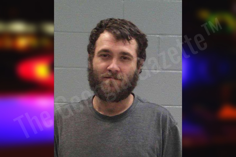 Taylor Blizard — Baldwin County Jail Bookings