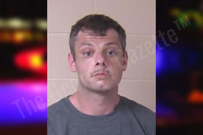 Shawn Ballanger — Walker County Jail Bookings