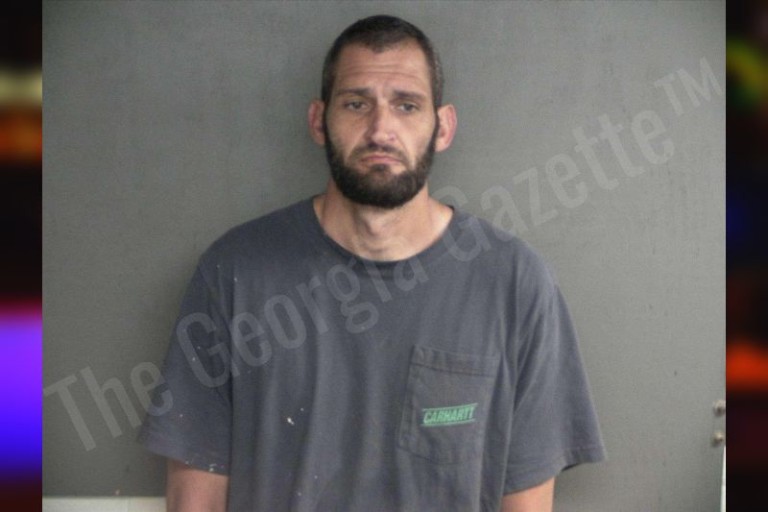 Travis Bell — Twiggs County Jail Bookings