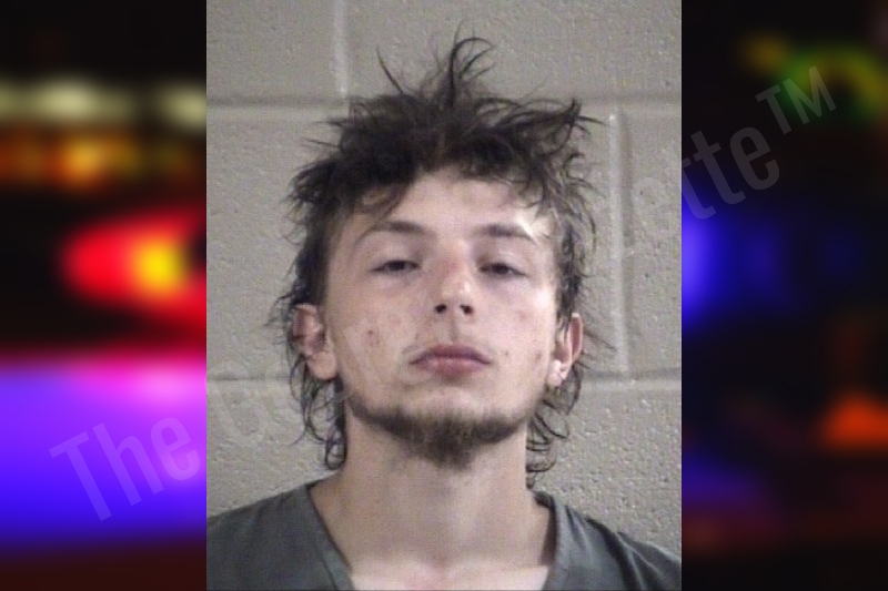 Michael Blevins — Whitfield County Jail Bookings