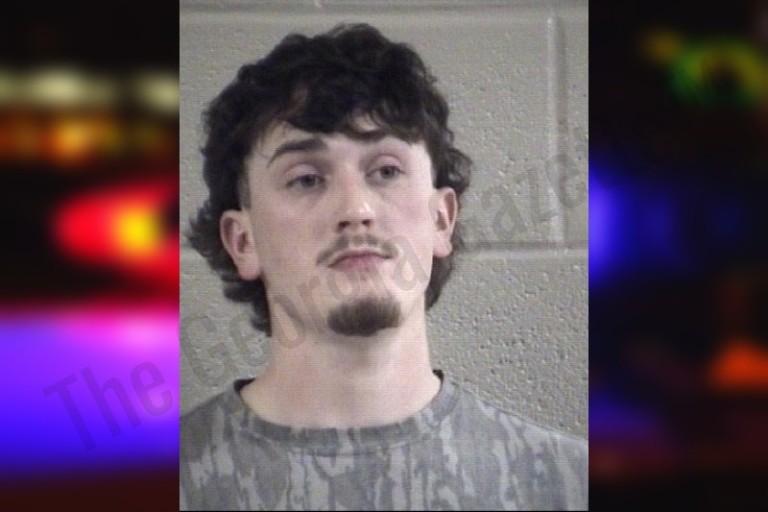 Tyler Bohannon — Whitfield County Jail Bookings
