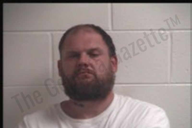 George Bower — Henry County Jail Bookings