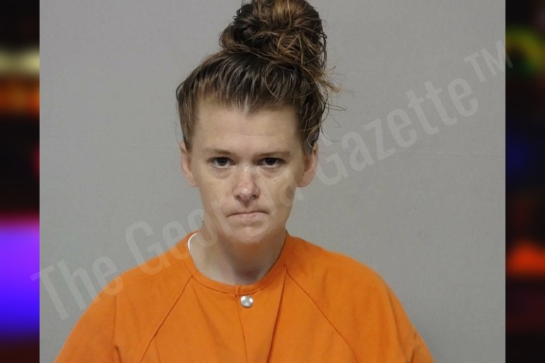 Brandy Riner — Bibb County Jail Bookings