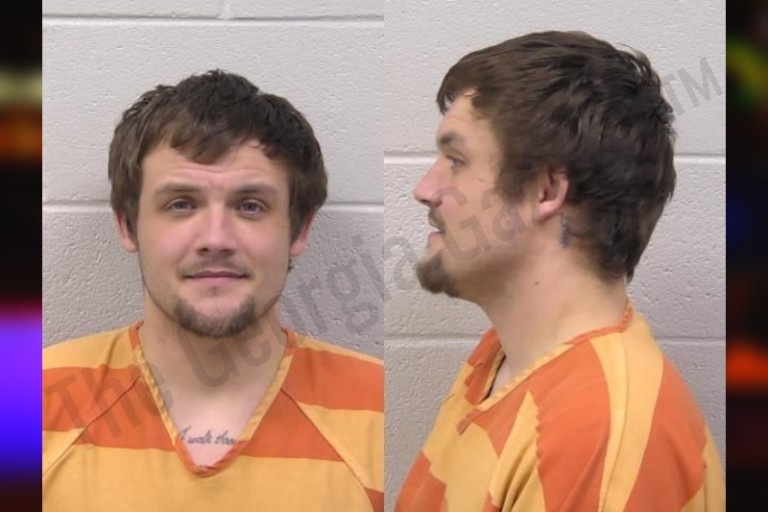 Andrew Bryson — Paulding County Jail Bookings