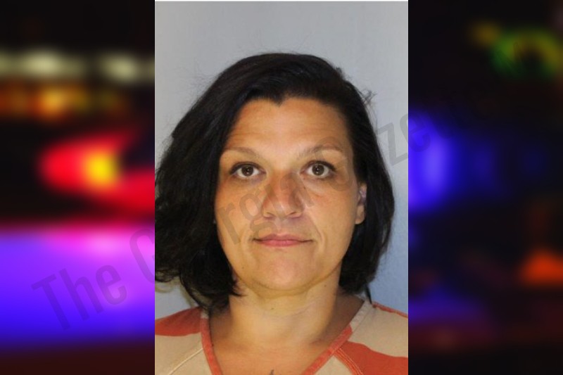 Amber Chester — Hall County Jail Bookings