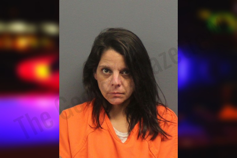 Mindy Collins — Lumpkin County Jail Bookings