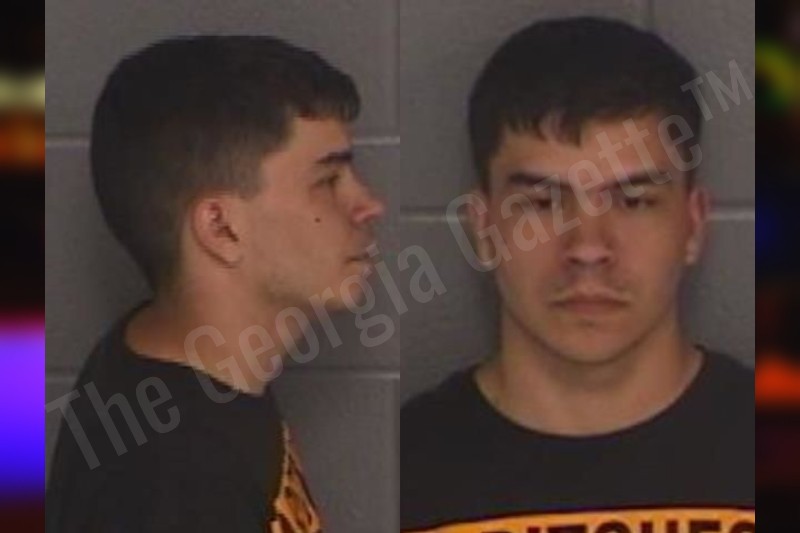 Gianny Campos — Barrow County Jail Bookings