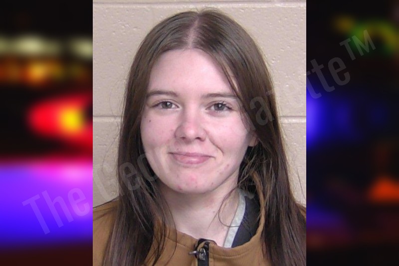 Kaitlyn Camreron — Walker County Jail Bookings