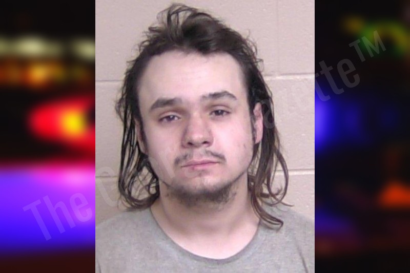 William Capps — Walker County Jail Bookings