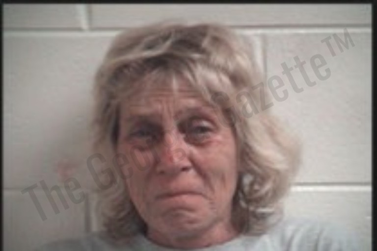 Lena Carpenter — Henry County Jail Bookings