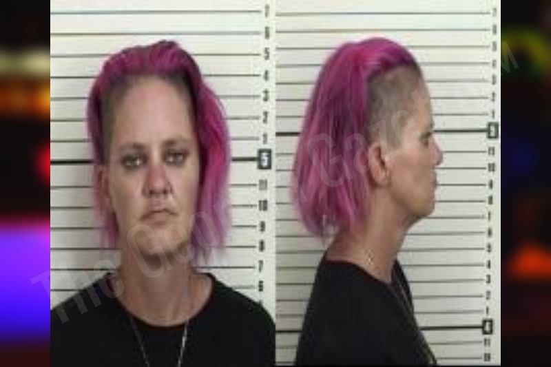 Ashley Chestnut — Camden County Jail Bookings