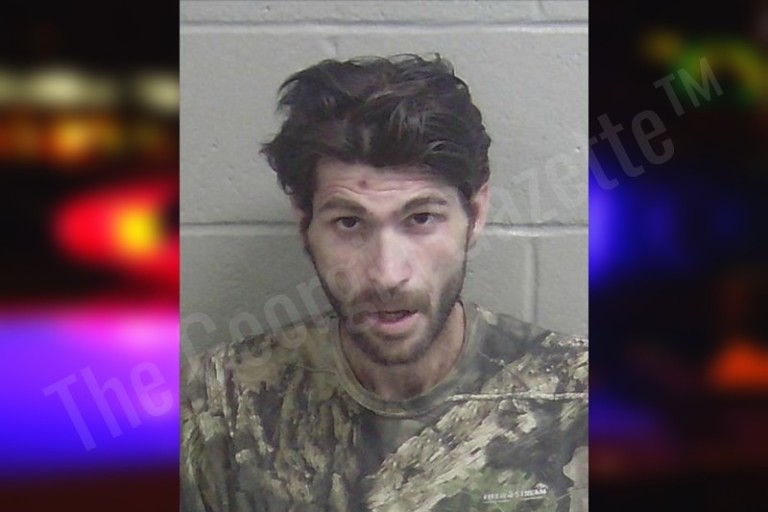 Jonathan Collins — Wayne County Jail Bookings