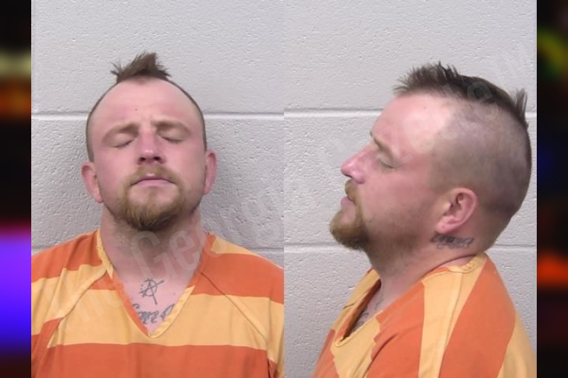 Ian Copeland — Paulding County Jail Bookings