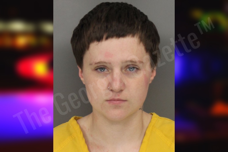 Hailey Day — Cobb County Jail Bookings