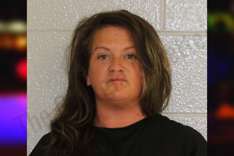 Kelly Delaney — Carroll County Jail Bookings