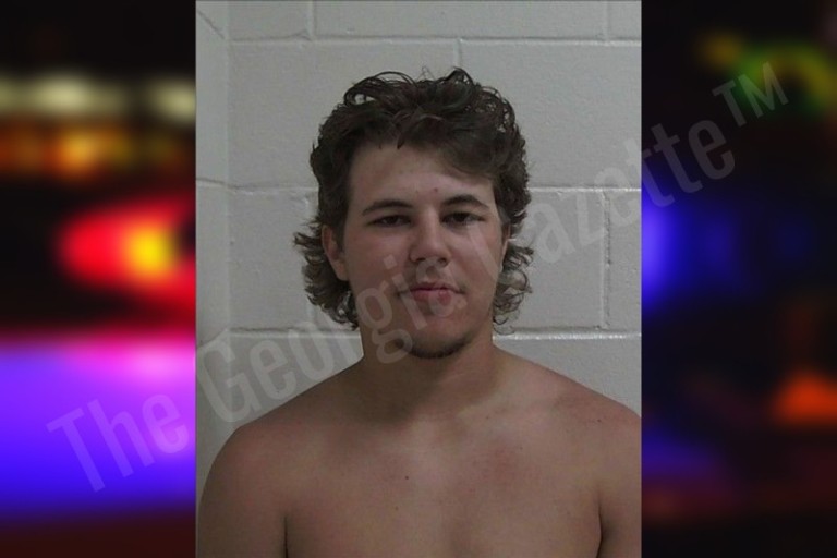 Shane Dill — Decatur County Jail Bookings